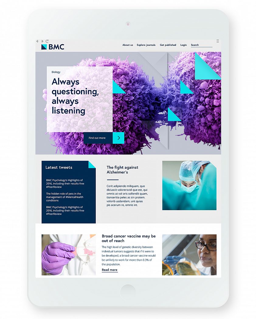 True North | BMC | Positioning, brand architecture, visual identity,…