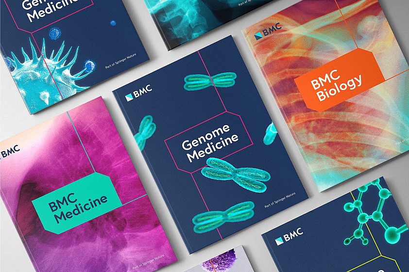 True North | BMC | Positioning, brand architecture, visual identity,…