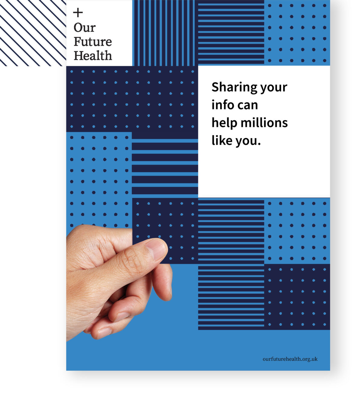 True North | Our Future Health | branding and brand strategy